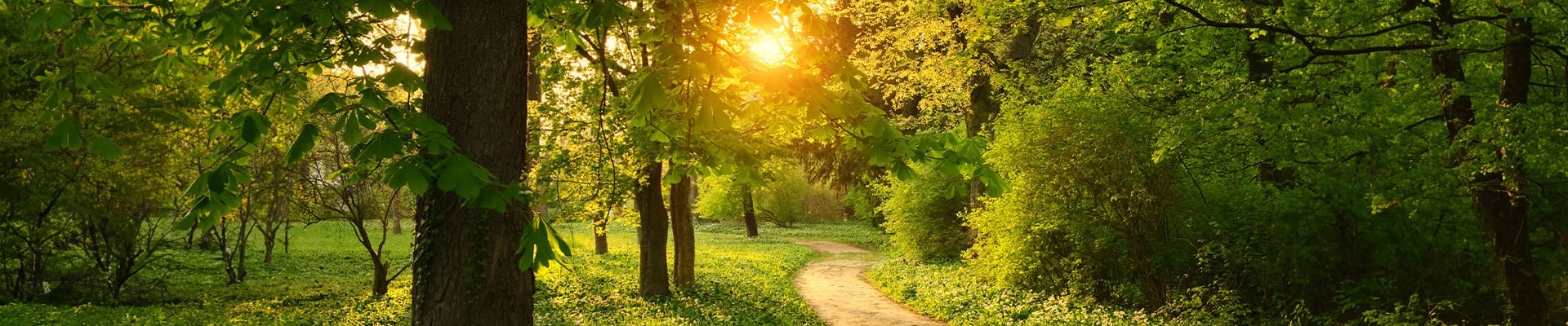 Subdivision Lots For Sale | Espire Homes