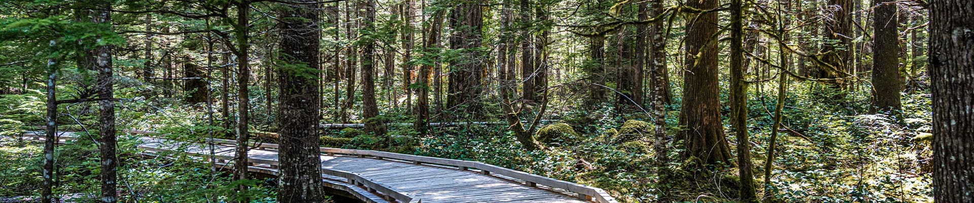 Subdivision Lots For Sale | Espire Homes